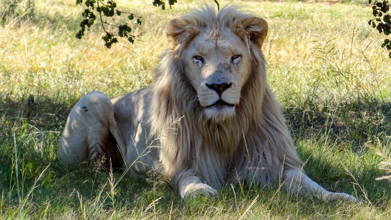 ¿Qué problemas se presentan en León? | Que Visitar en Mexico