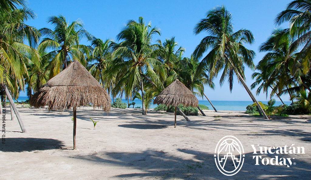 ¿Qué tan lejos está la playa de Mérida? | Que Visitar en Mexico